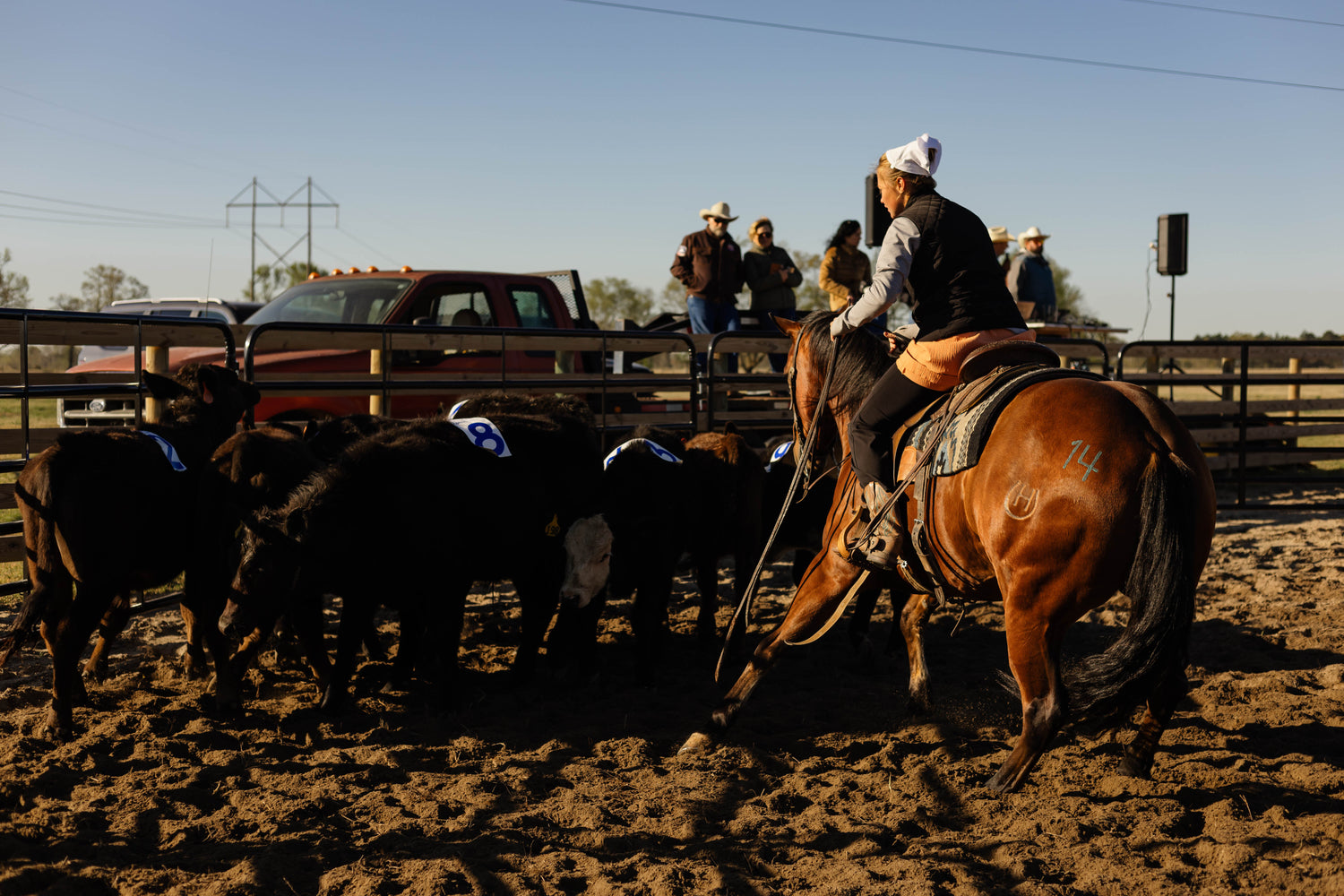 Southern Belle Classic